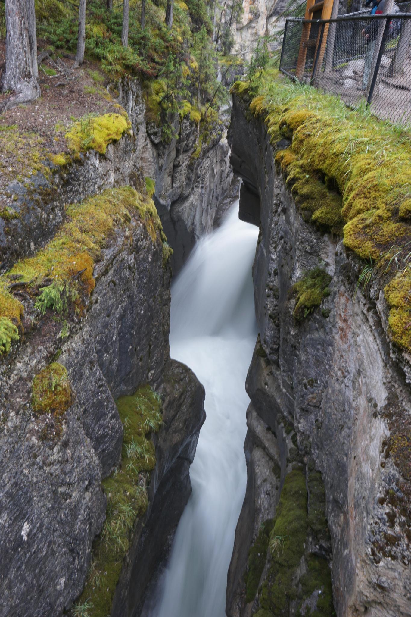Hiking Maligne Canyon - Jasper National Park - Road Trip Ryan