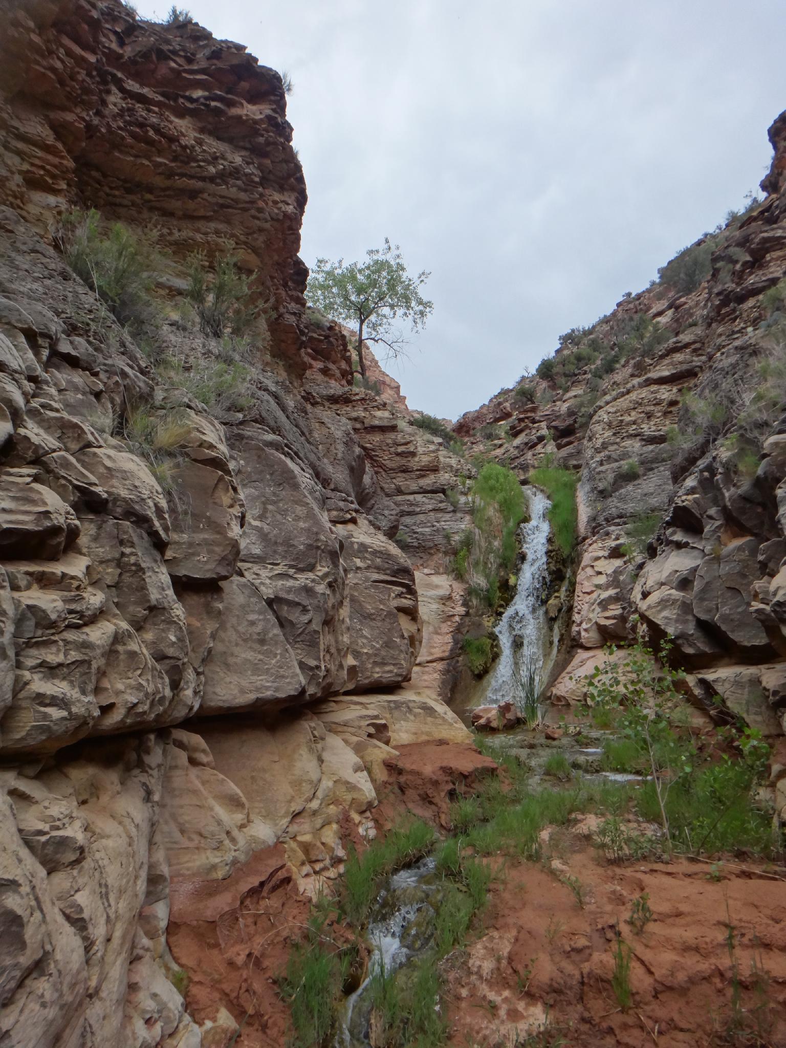 Hiking Sundance Trail - Dark Canyon - Road Trip Ryan