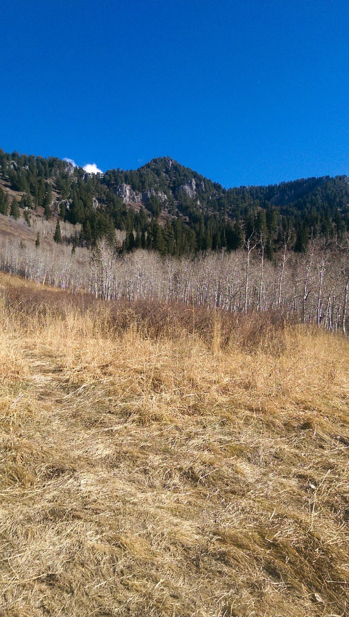 Hiking Neffs Canyon - Salt Lake City - Road Trip Ryan